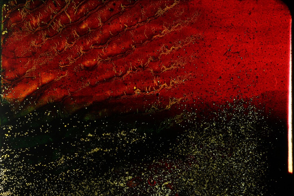 Nuclear War - A Study In Color Bleach Etching - Process Reversal